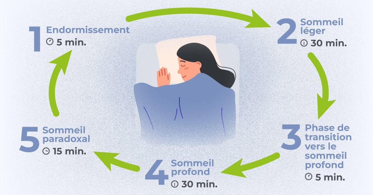 Tout savoir sur le cycle du sommeil et les troubles du sommeil